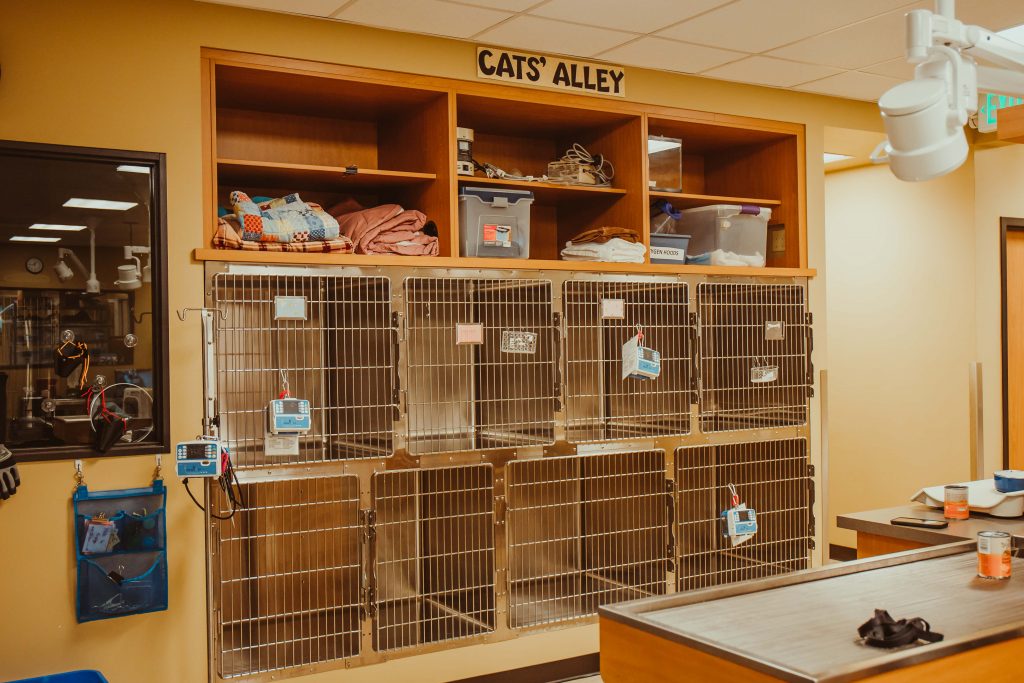 Boundary Bay Veterinary Specialty Hospital | Bellingham, WA