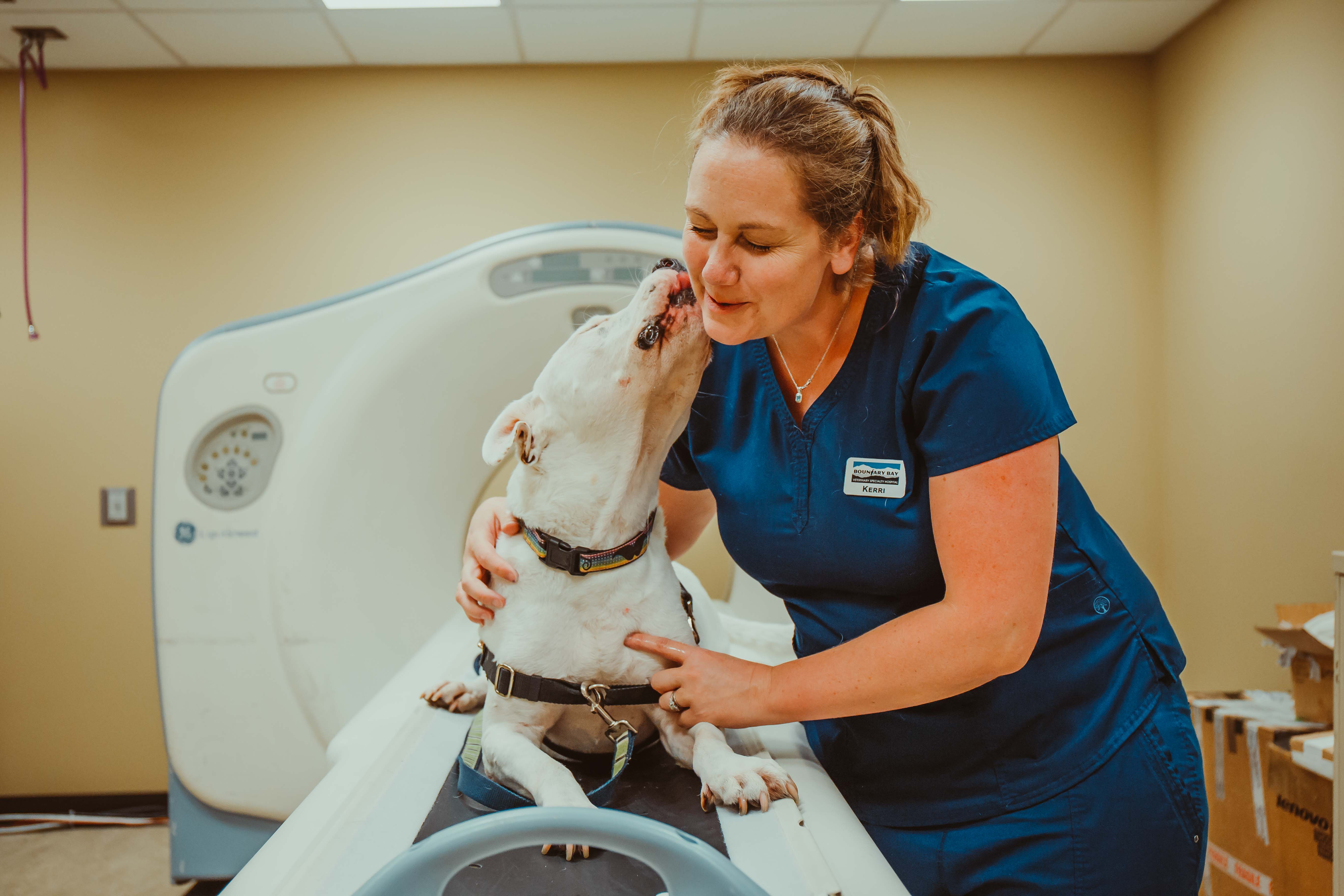 Boundary Bay Veterinary Specialty Hospital - Boundary Bay Veterinary ...