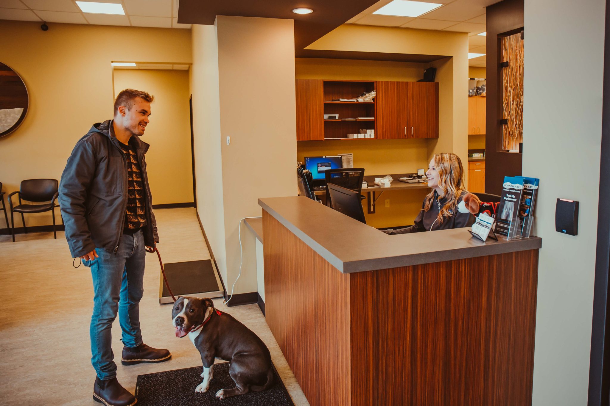 Specialty Veterinary Referral Requests | BBVSH Bellingham