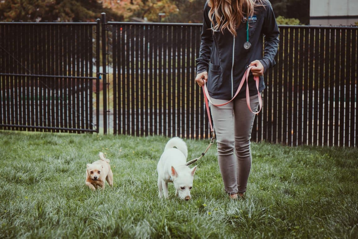 Our Specialty Veterinarians and Staff - Boundary Bay Veterinary ...