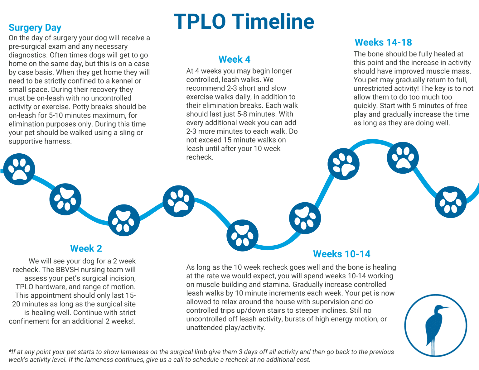 TPLO Surgery for Dogs | BBVSH Bellingham, WA